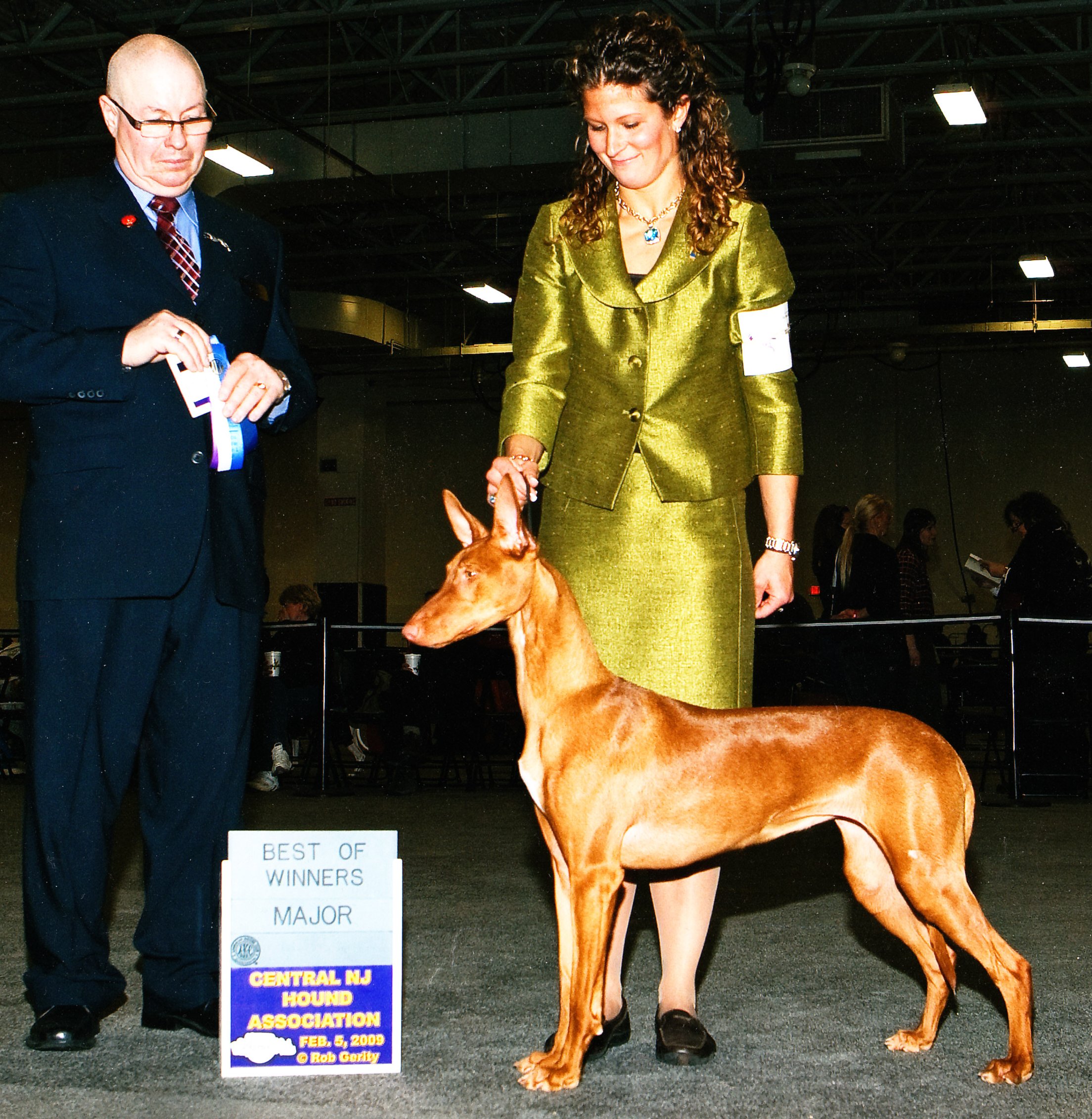 Serenaker - Pharaoh's PageHistory Page